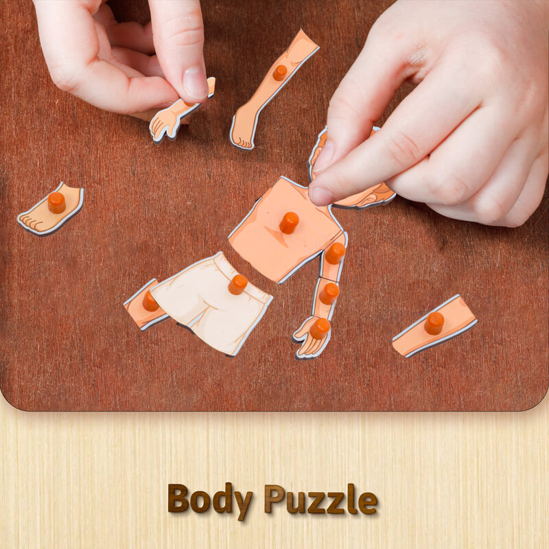 BODY PARTS WOODEN PIECES PUZZLE - Funskool