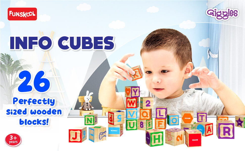 Infocubes - Funskool