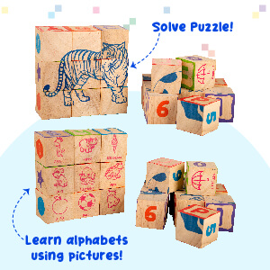 Infocubes - Funskool