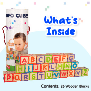 Infocubes - Funskool